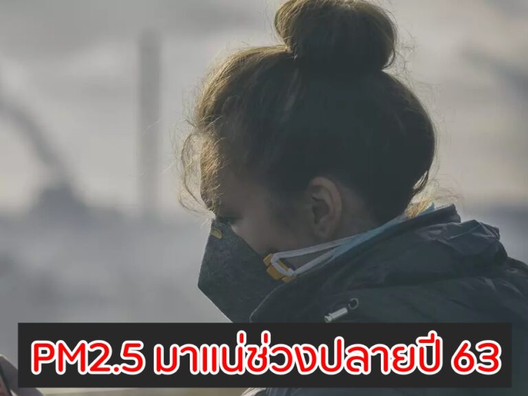 PM2.5 มาแน่ช่วงปลายปี 63 - AllSureNews
